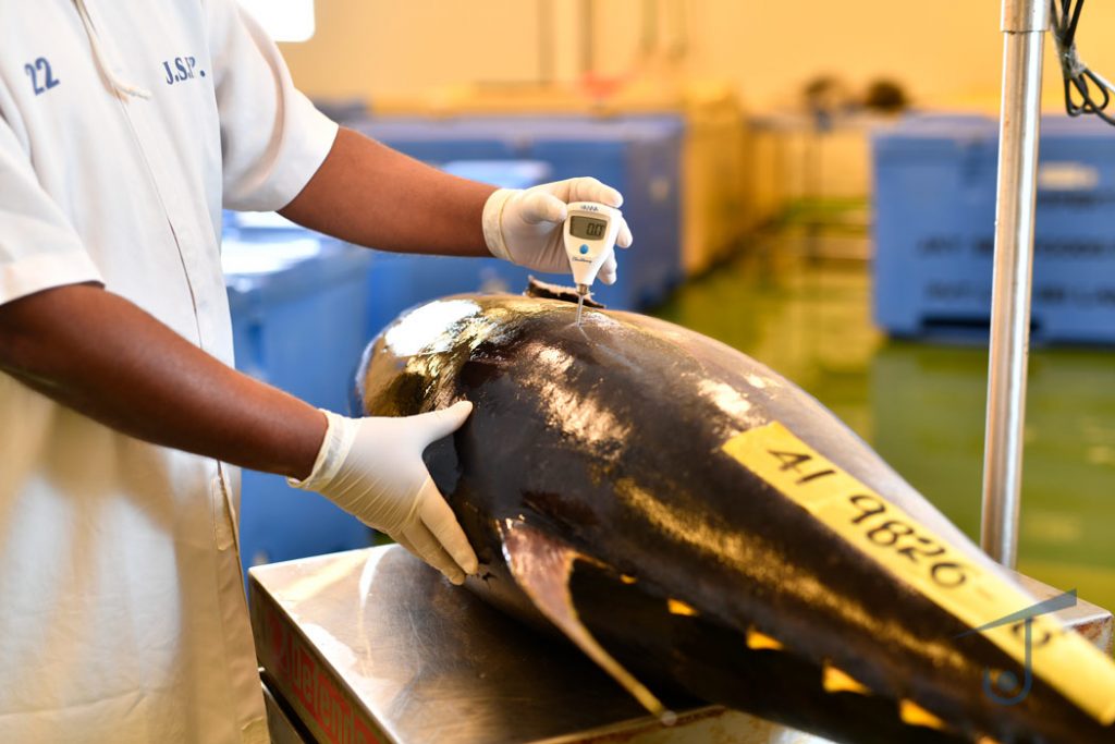 Best Fresh Seafood Exporter in Sri Lanka | Jay Sea Foods Processing ...