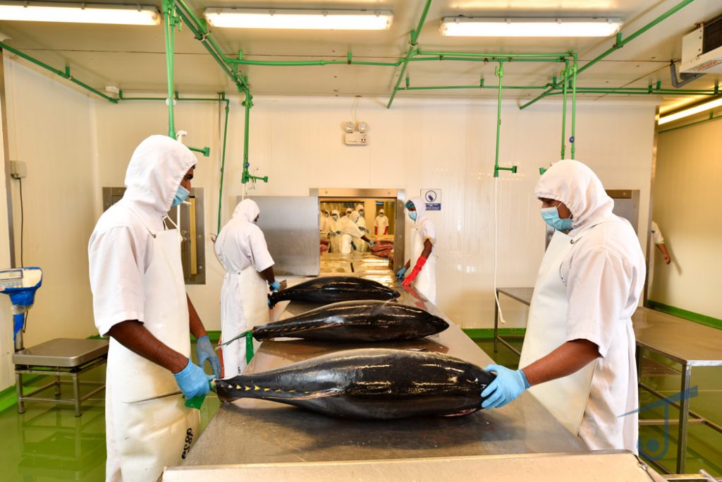 Best Fresh Seafood Exporter in Sri Lanka | Jay Sea Foods Processing ...