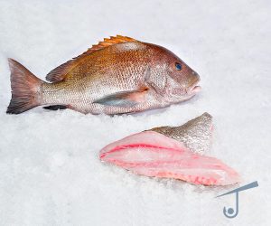 All Product Types | Jay Sea Foods Processing (Pvt) Ltd.