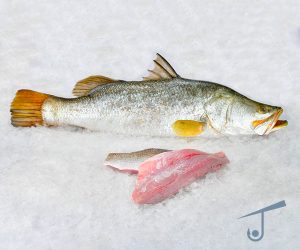 All Product Types | Jay Sea Foods Processing (Pvt) Ltd.