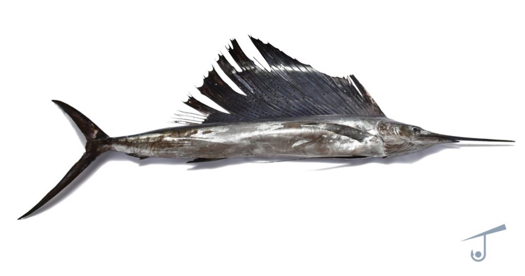 All Product Types | Jay Sea Foods Processing (Pvt) Ltd.